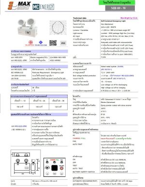 MAX BRIGHT MB 09-W, LED2x9W 2hrs. – MARKPRO LIGHTING