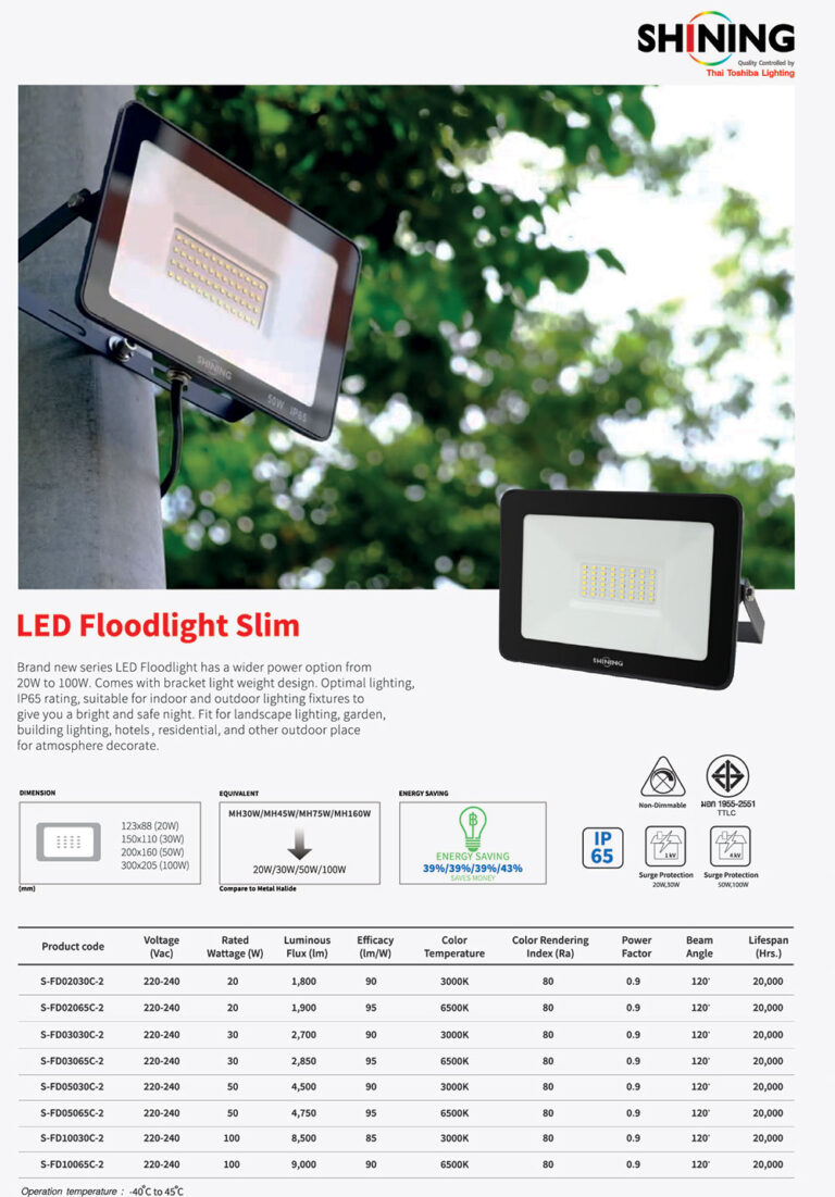Shining Floodlight SLIM LED 100W 6500K day – MARKPRO LIGHTING