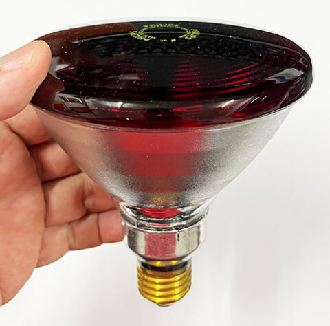 MARKPRO LIGHTING | Philips Infrared RED PAR38 150W E27